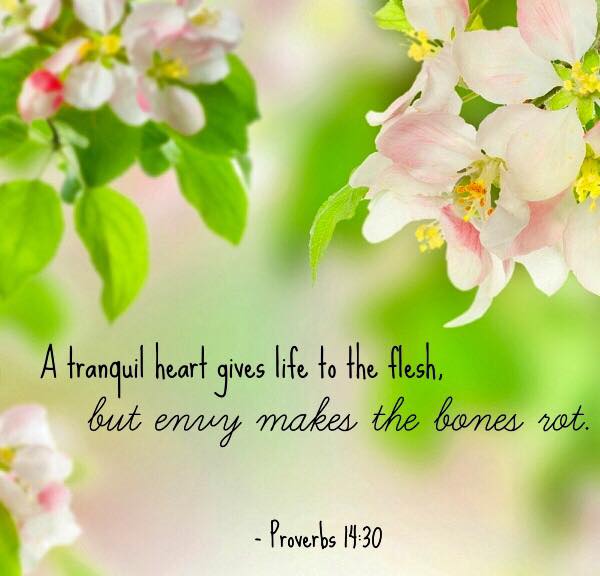 Proverbs and Health, What if? – Jordan's Crossing